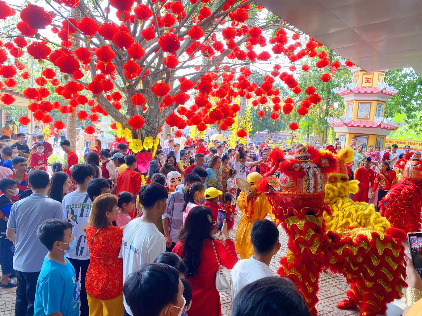 Mùng 1 Tết Quý Mão – Ân Thọ vào Xuân